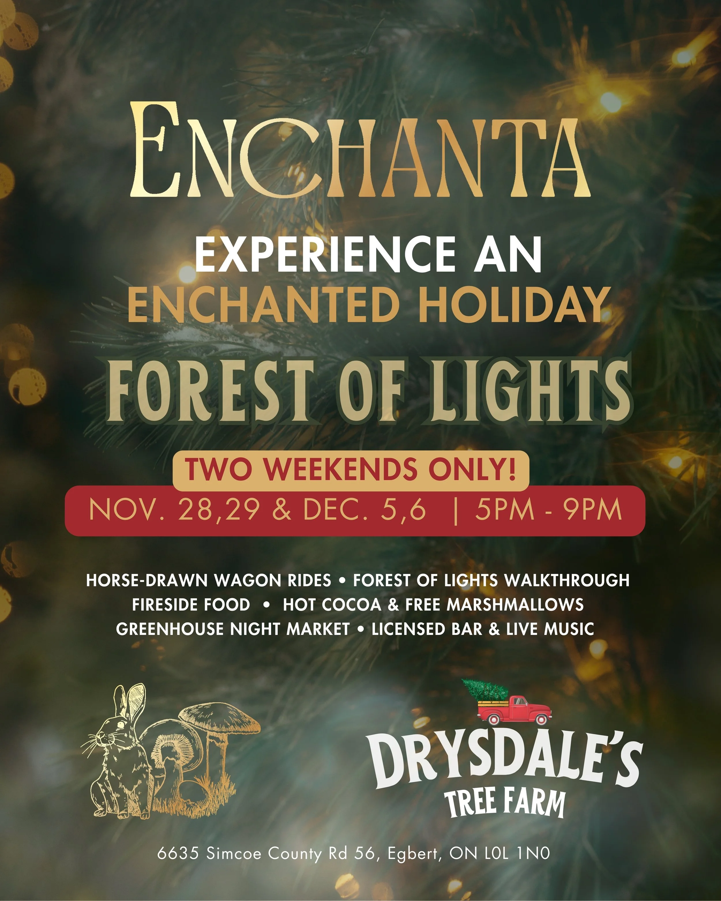 Enchanta Experiences | Discover Magic Today!