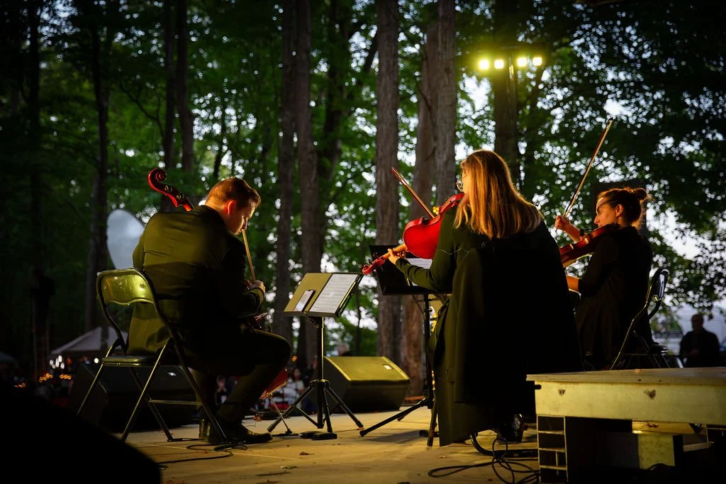 The Forest | Discover Magic Today — Enchanta Experiences