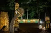 The Forest | Discover Magic Today — Enchanta Experiences