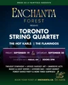 The Forest | Discover Magic Today — Enchanta Experiences