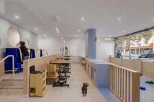 Dog Grooming Fitout - Tiny Tails Retreat — MET Architecture