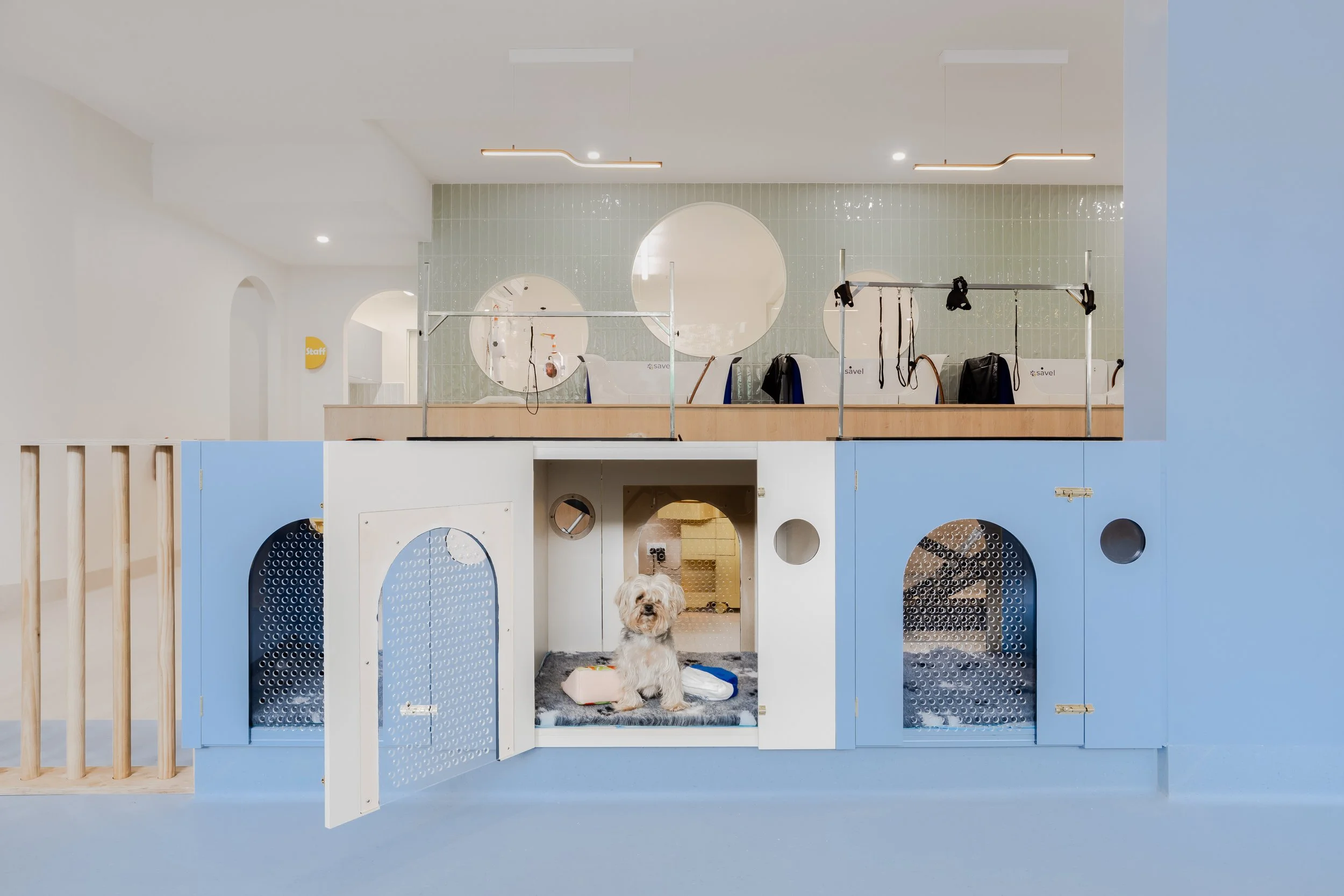 Dog Grooming Fitout - Tiny Tails Retreat — MET Architecture