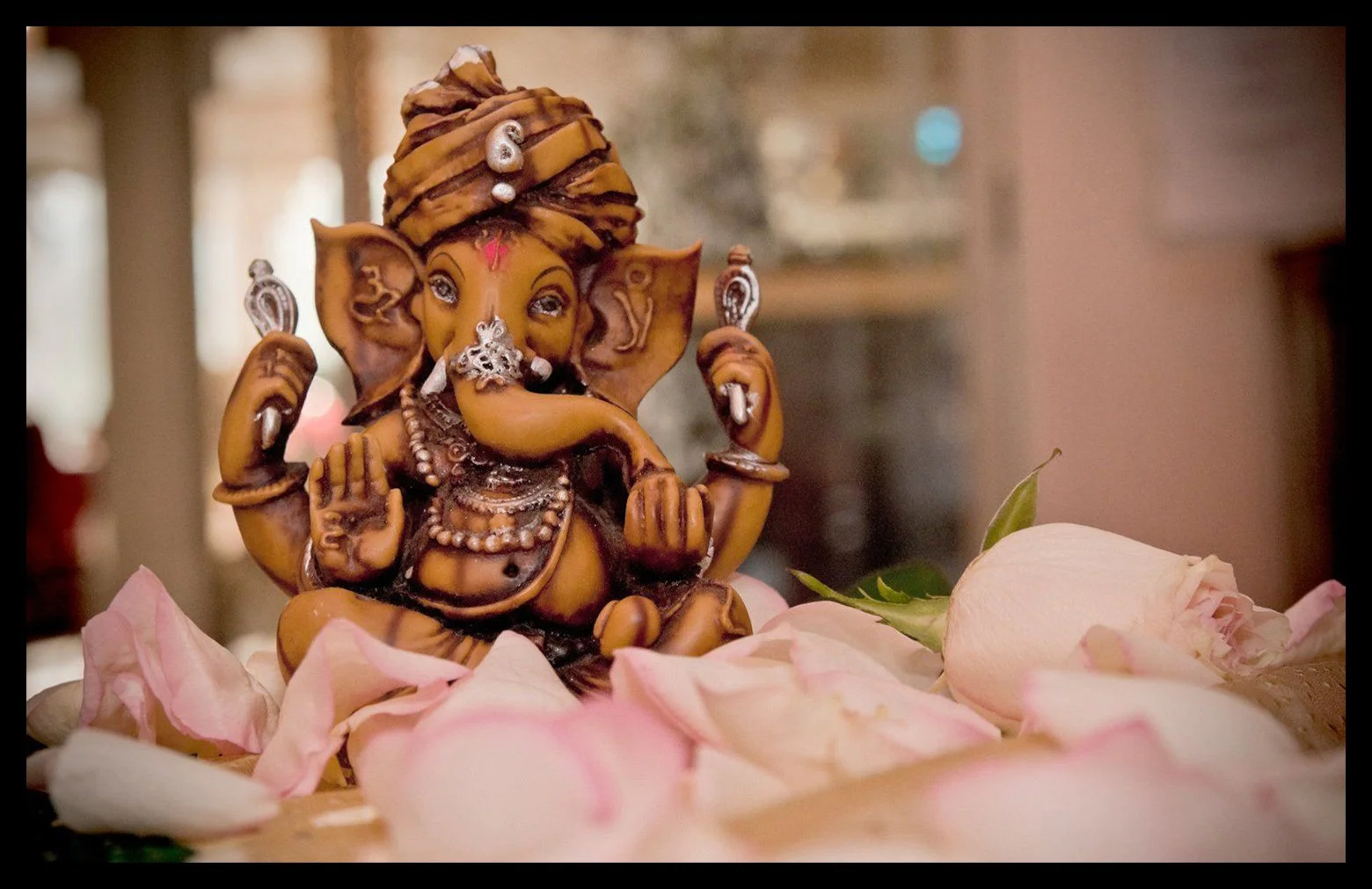 Indian Event Photographer - AK Photography & Videography Services