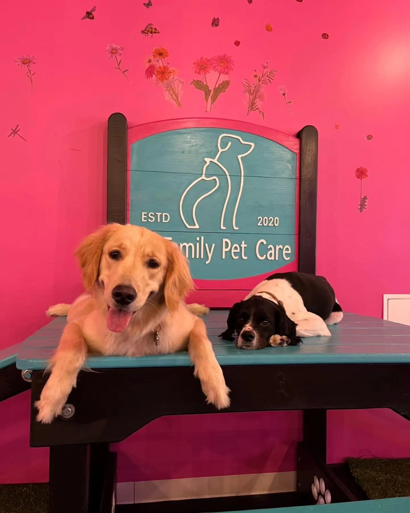 Daycare — Hill Family Pet Care