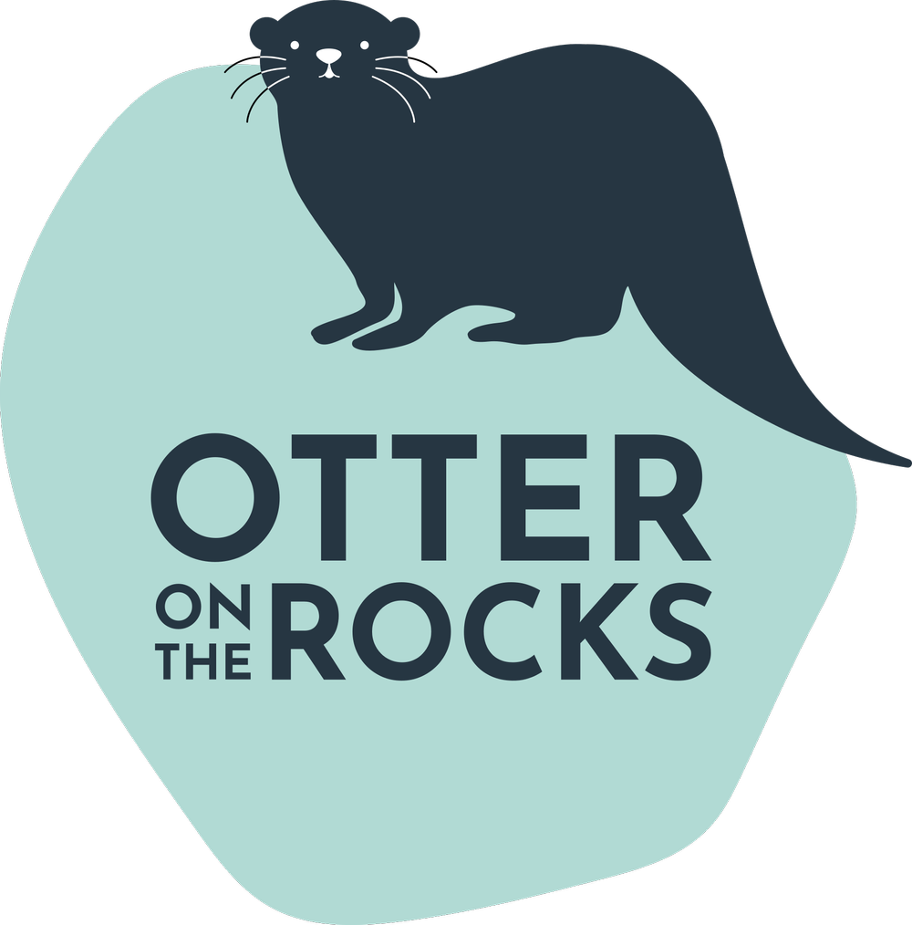 Otter on the Rocks - West Seattle