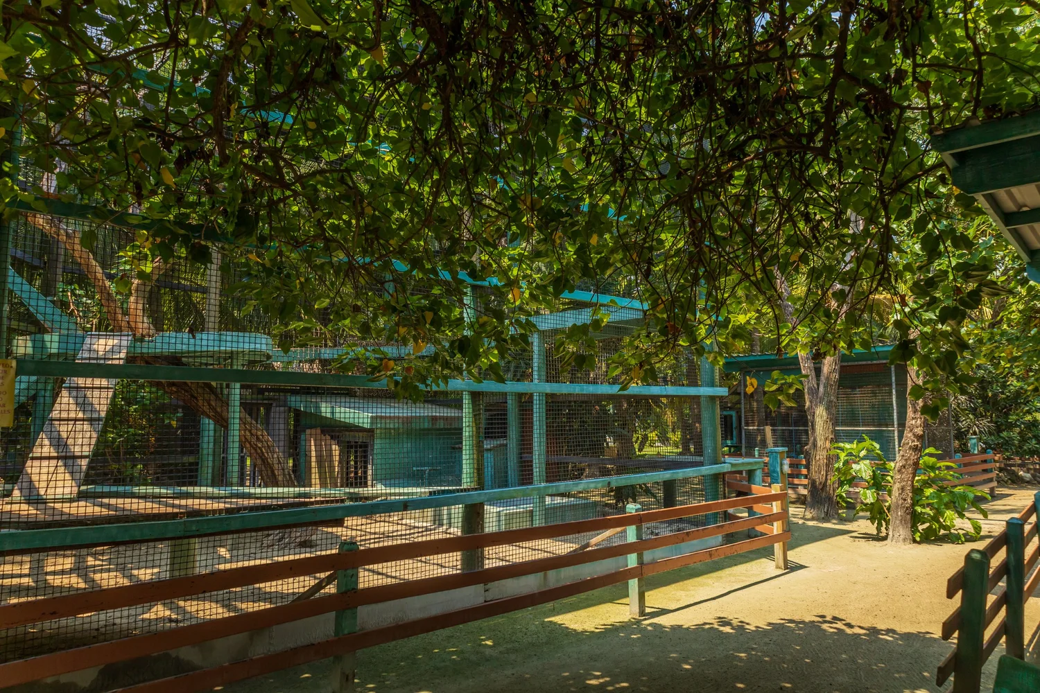 Animals | Discover Wildlife Now – Visit Today — Little French Key Resort