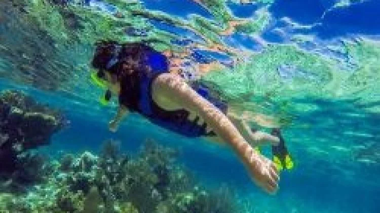 Packages | Discover & Book Your Adventure — Little French Key Resort