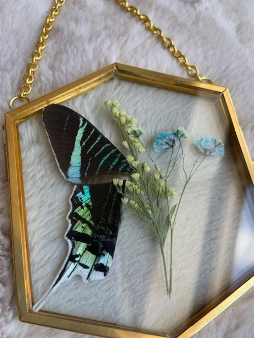 Shop — Stepha Slane Art