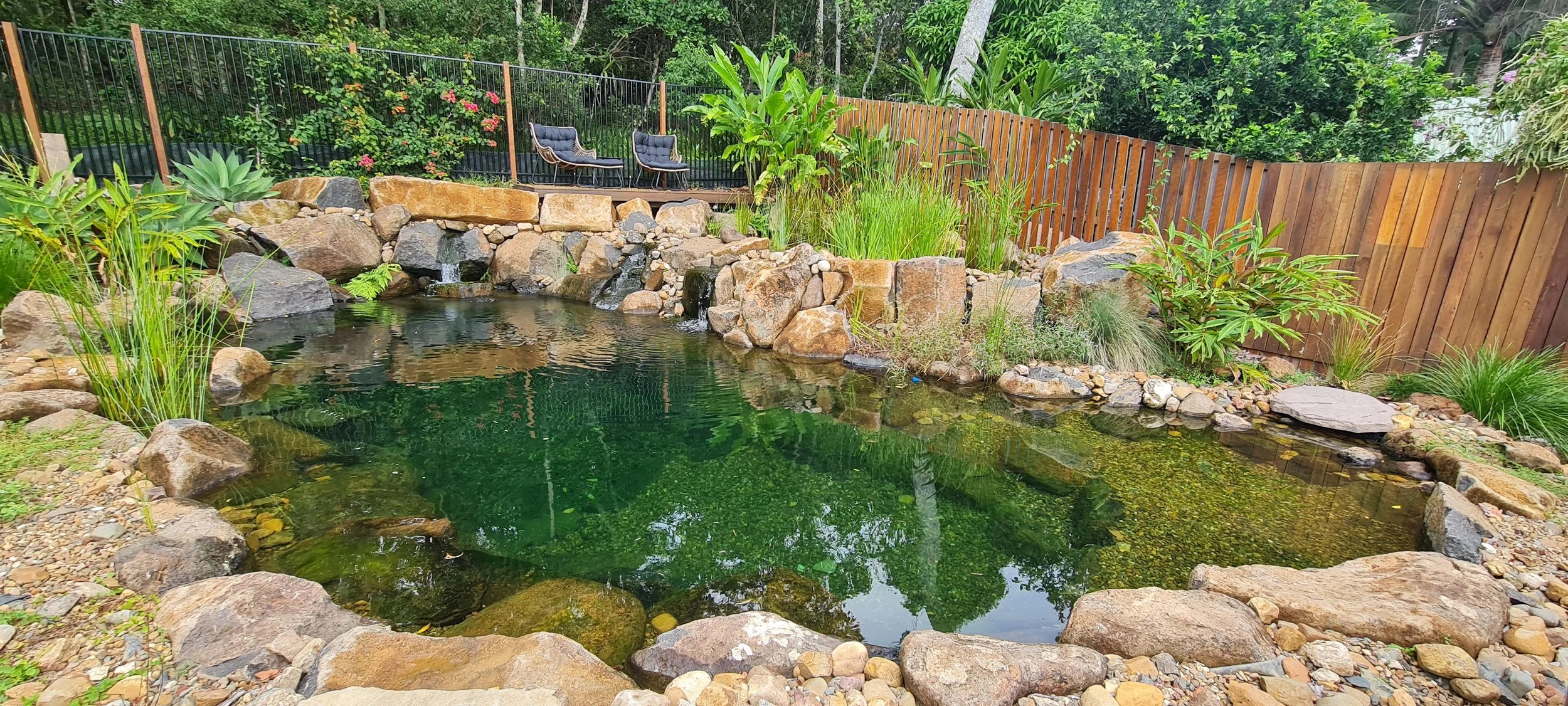 FreshWater Ecosystem Natural Pools — Flo Gardens