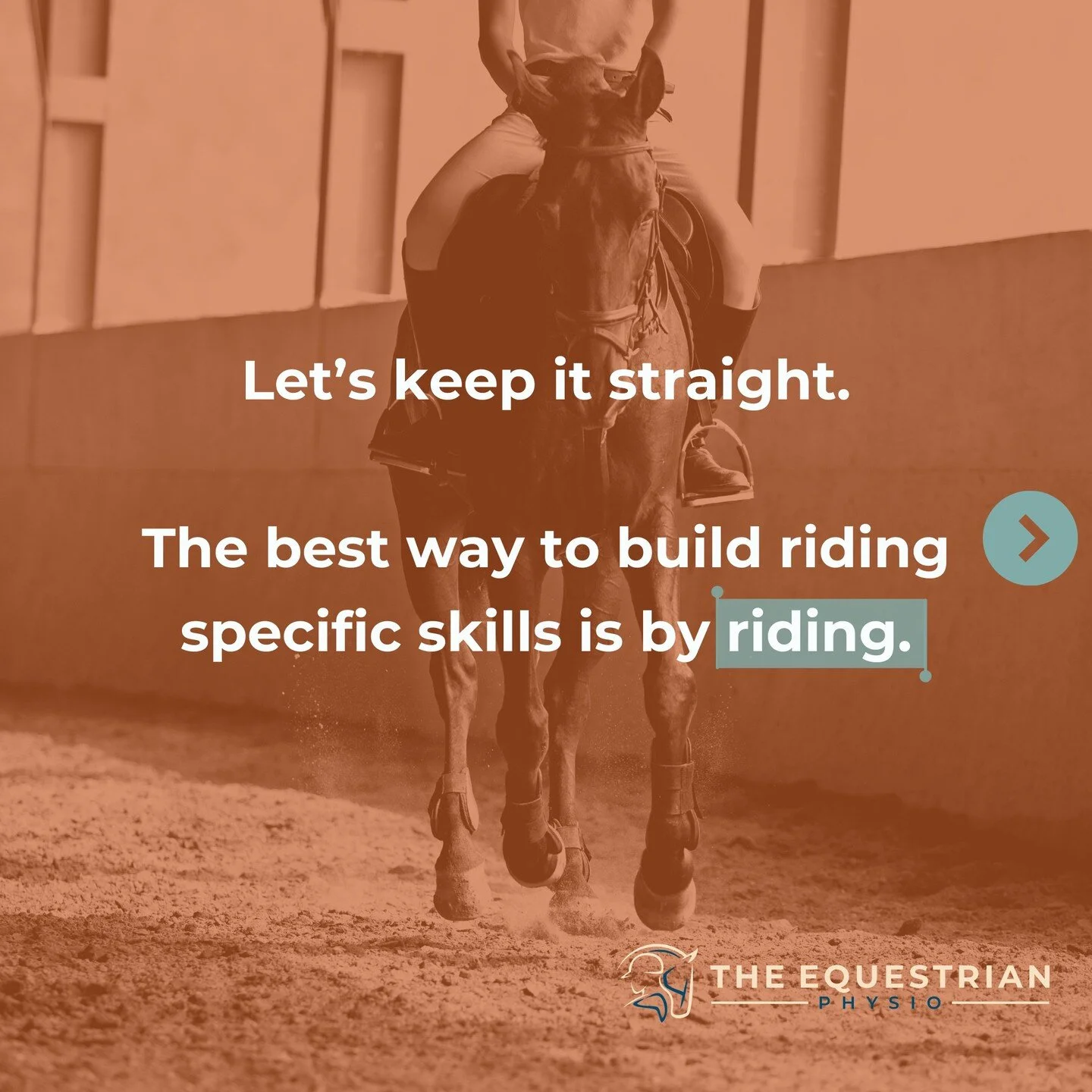 Equestrian Strength & Conditioning Programs — THE EQUESTRIAN PHYSIO ...
