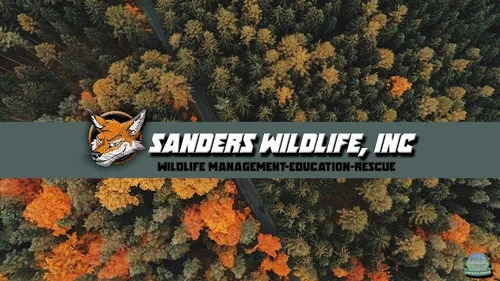 Georgia Wildlife Network