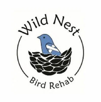Georgia Wildlife Network