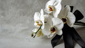 In Memoriam — Catholic Community of the Good Shepherd