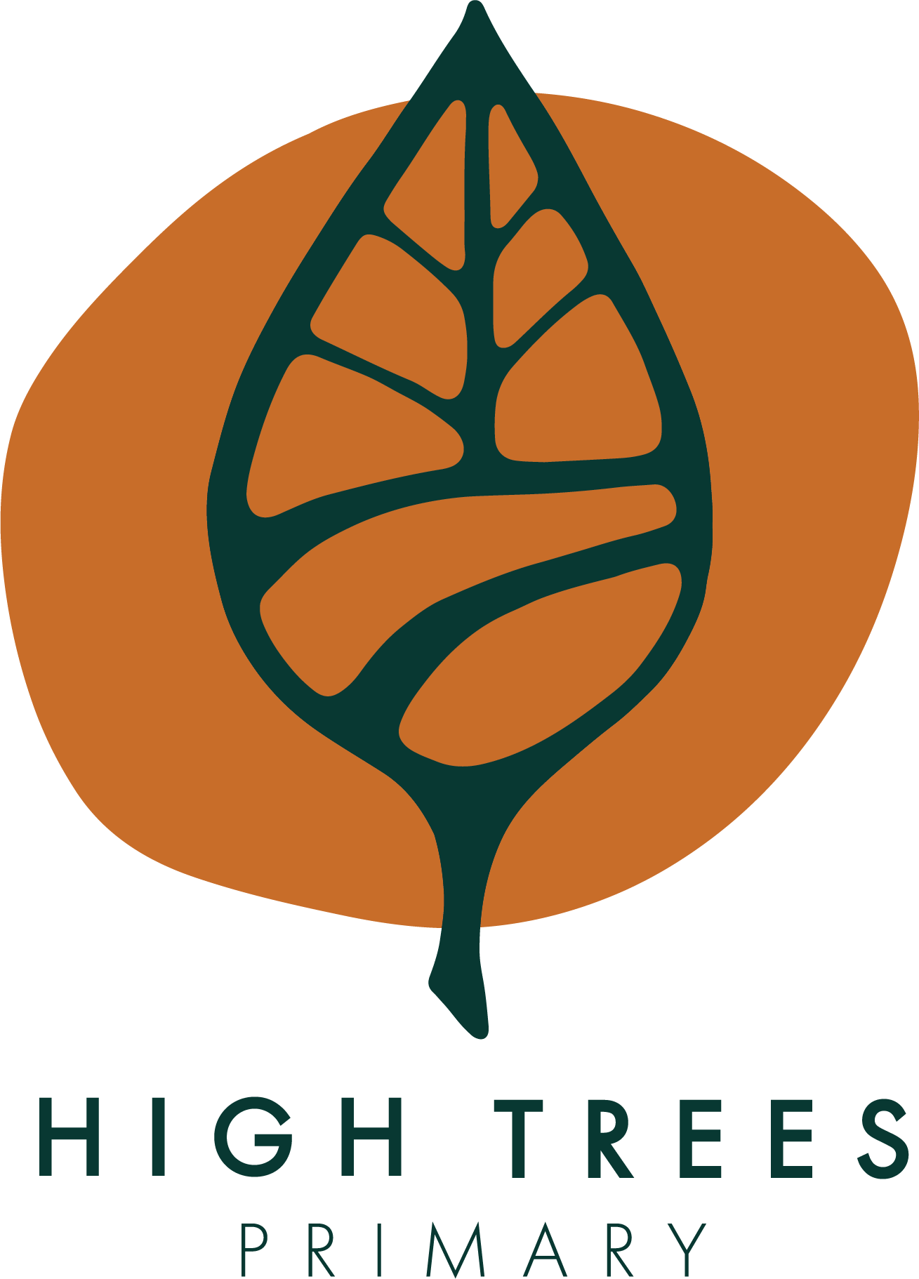 High Trees Primary | Currumbin Valley based primary education