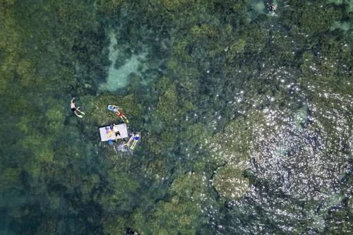 Snorkelling on Magnetic Island — This Is Magnetic Island