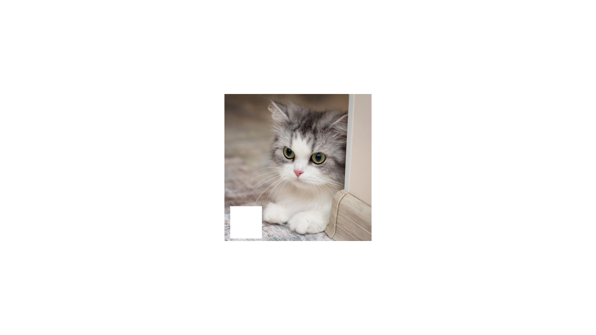 Generate and Manipulate Images using OpenAI in Python – ShillehTek