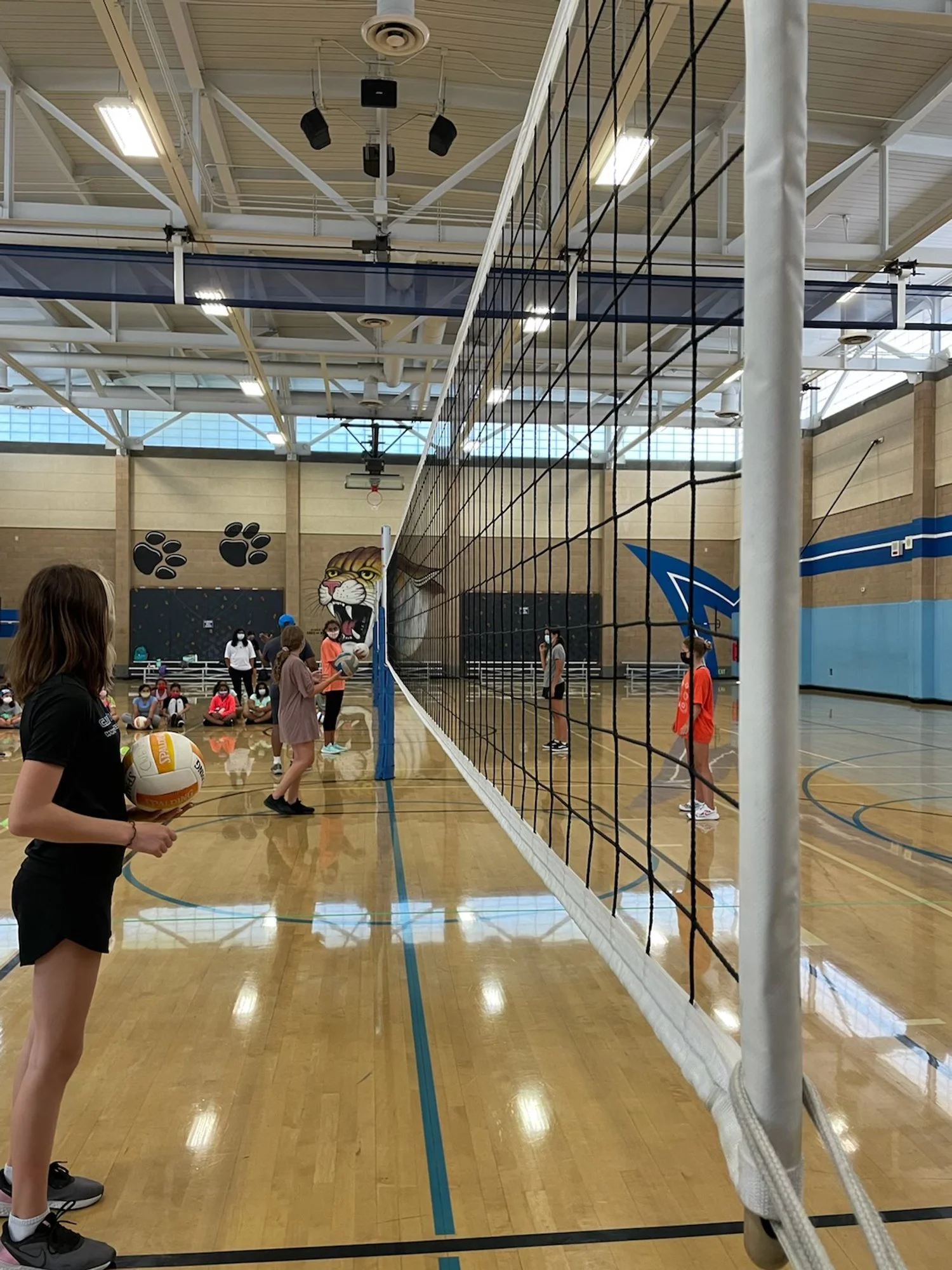 Club V.I.P. Volleyball Programs
