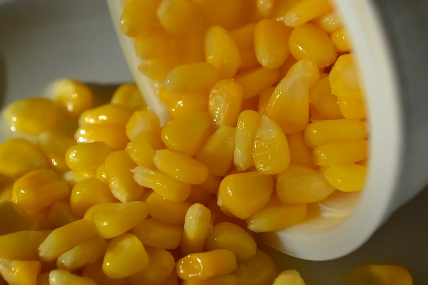 Samosa Haus | Authentic Artisan Pakistani Samosas & Street Food