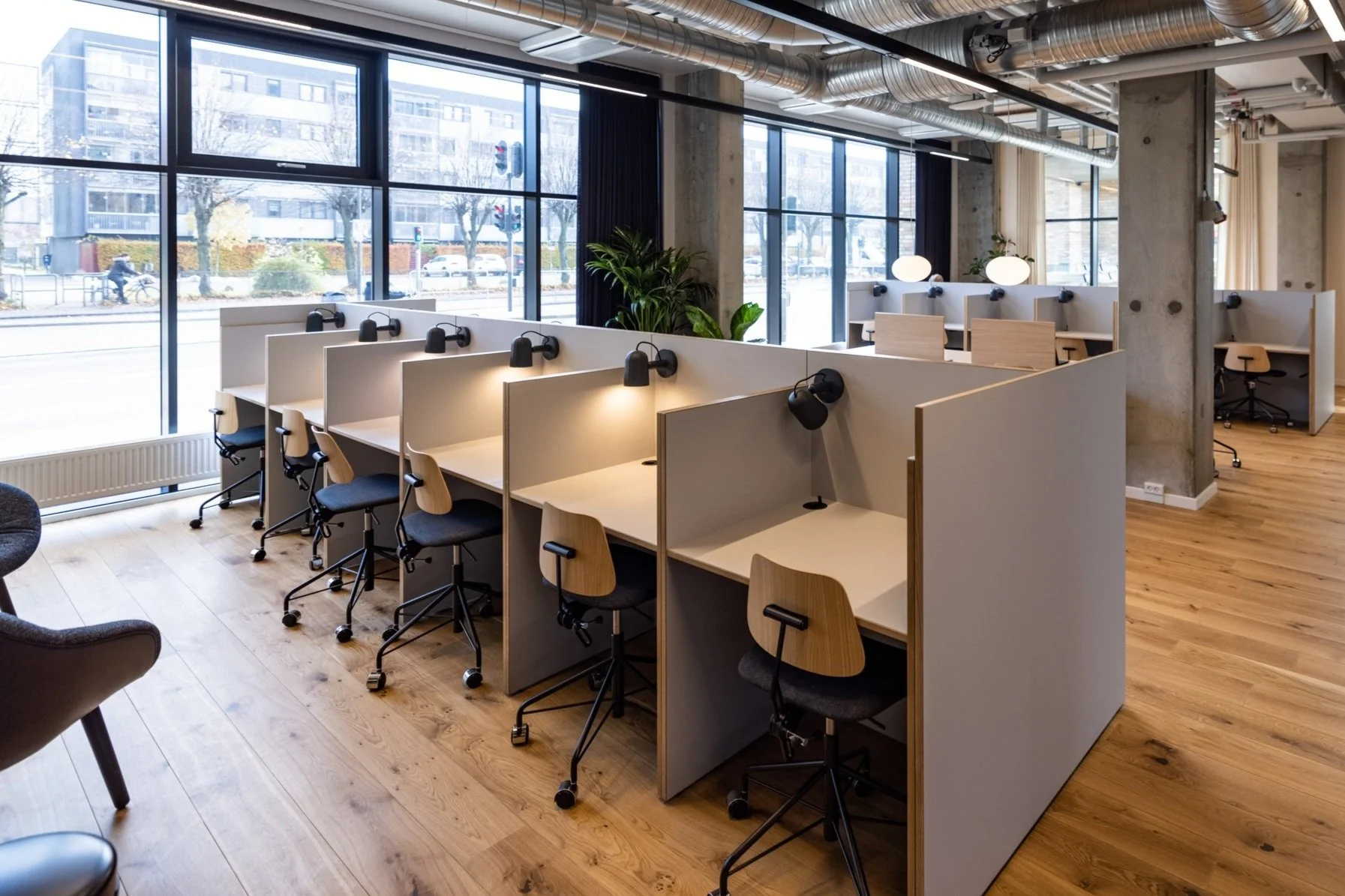 UMEUS Student co-living