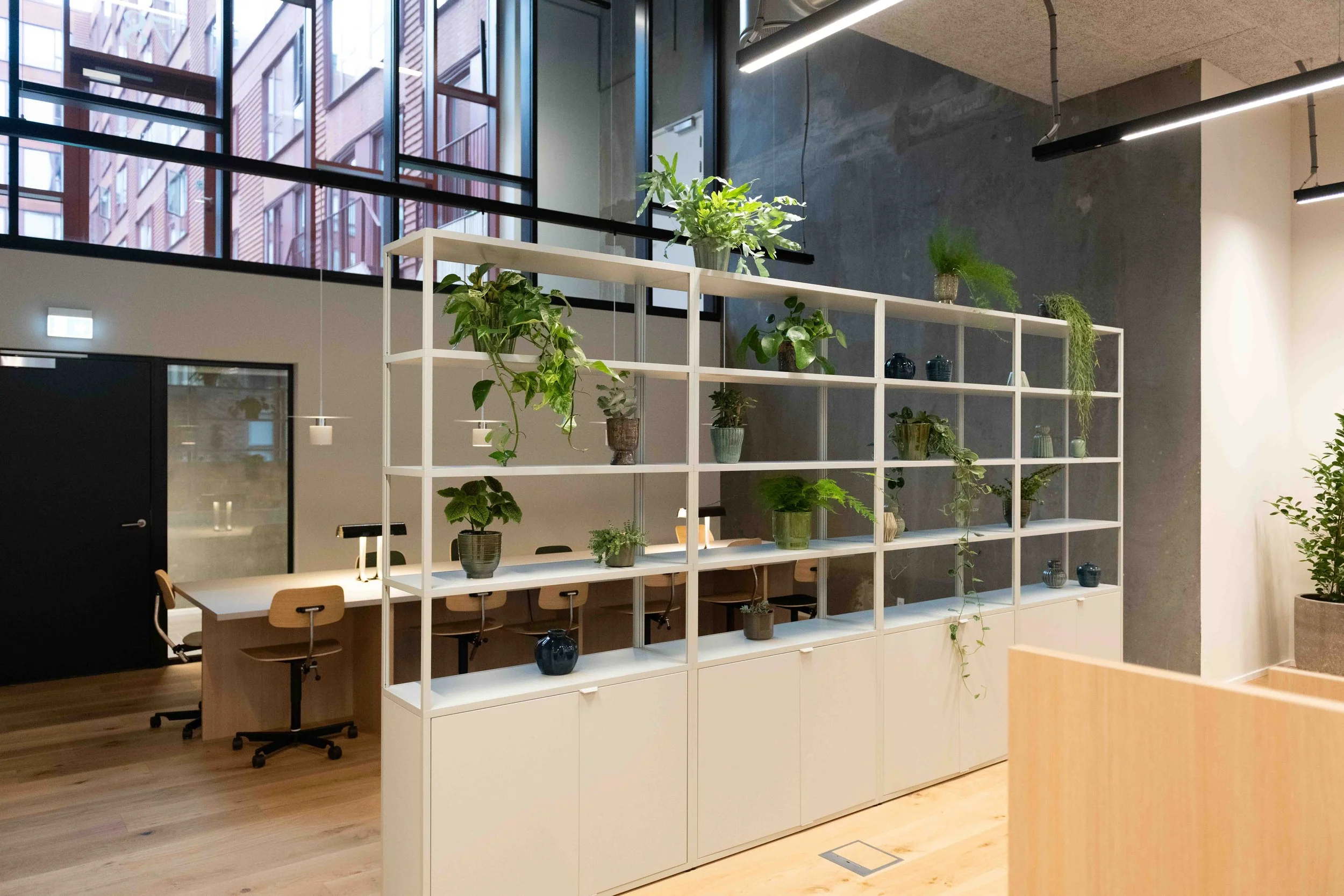 UMEUS Student co-living