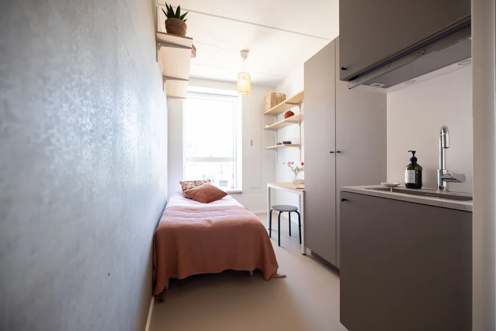 UMEUS Student co-living