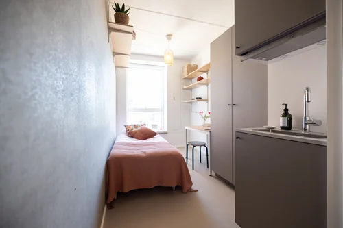 UMEUS Student co-living