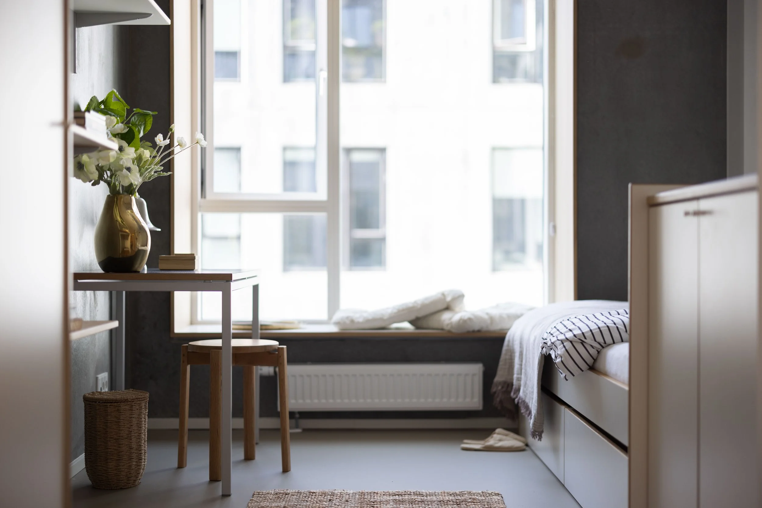 UMEUS Student co-living