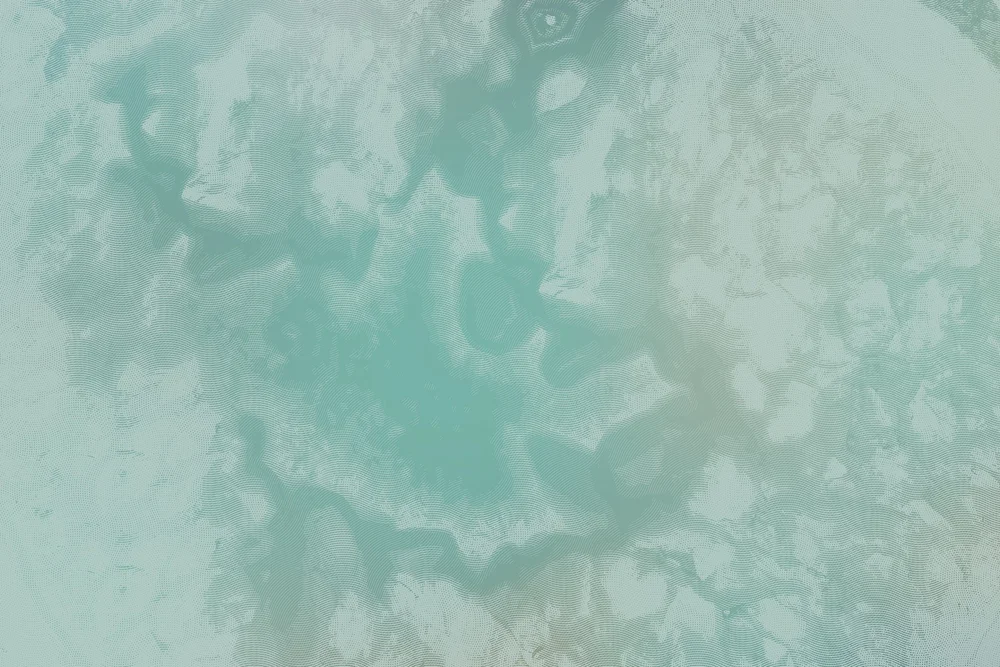 Source Sound Healing — LifeWellBranded