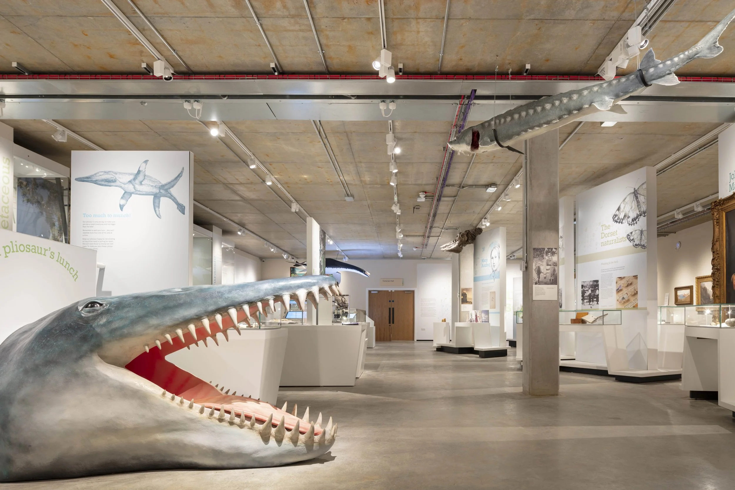 Armour Systems + Museum Workshop