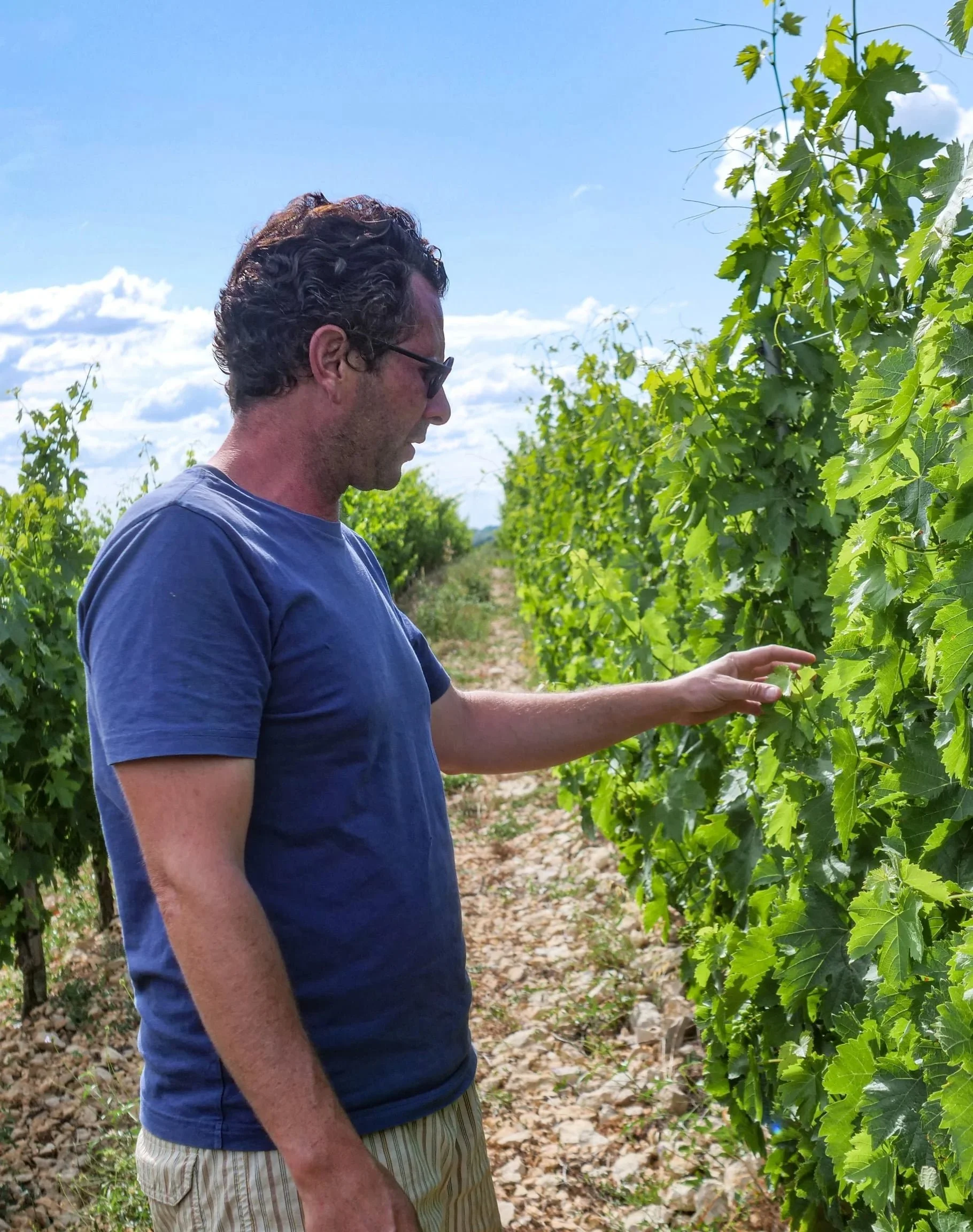 Parlange et Illouz | LITTLEWINE | The knowledge platform