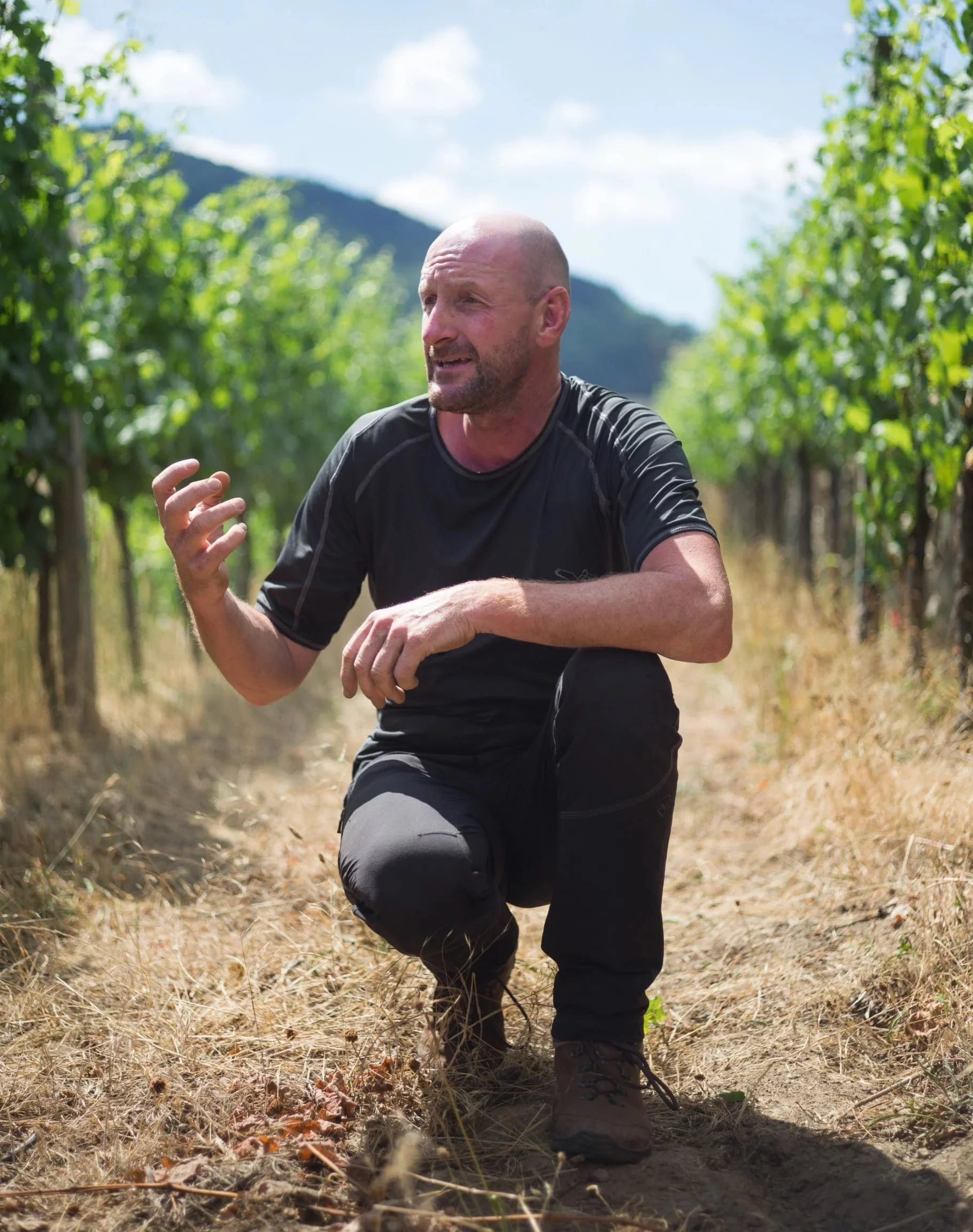 Martin Muthenthaler | LITTLEWINE | The knowledge platform