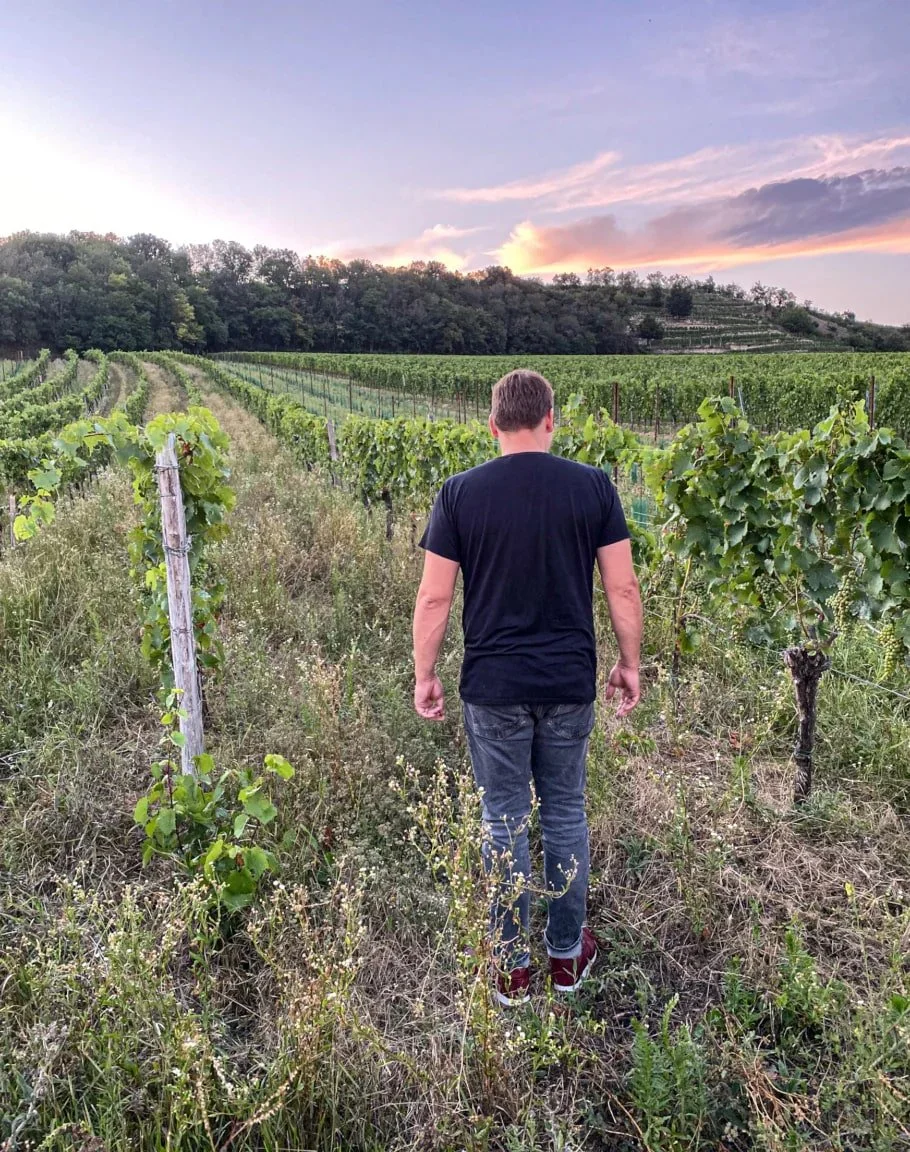 Markus Altenburger | LITTLEWINE | The knowledge platform