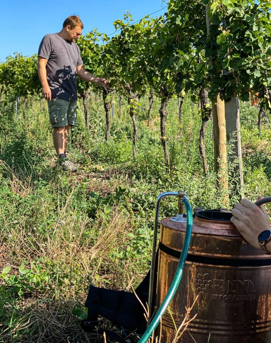 Markus Altenburger | LITTLEWINE | The knowledge platform