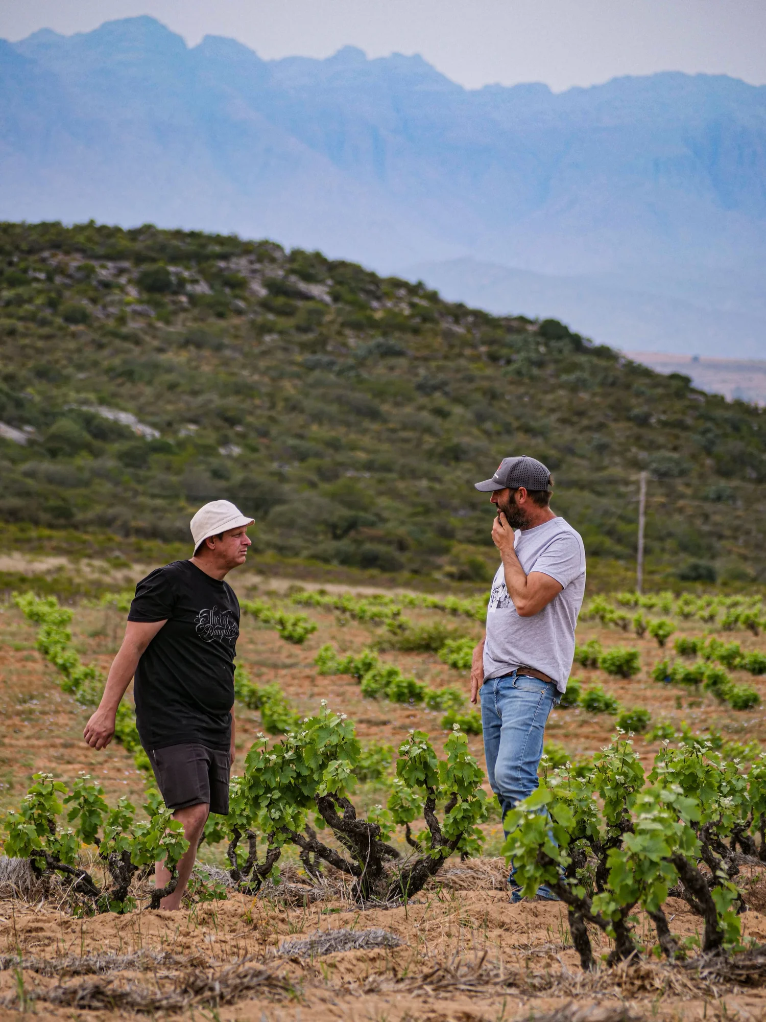 The Sadie Family Wines: Eben Sadie's all-or-nothing commitment to soil ...