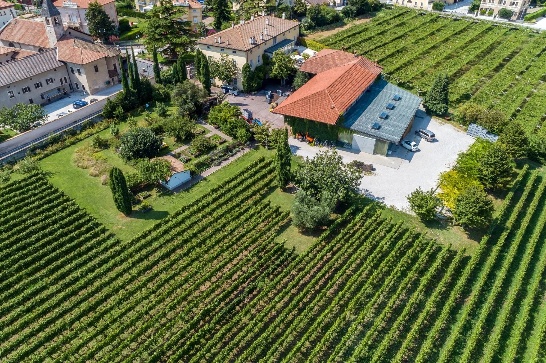 Foradori | LITTLEWINE | The knowledge platform