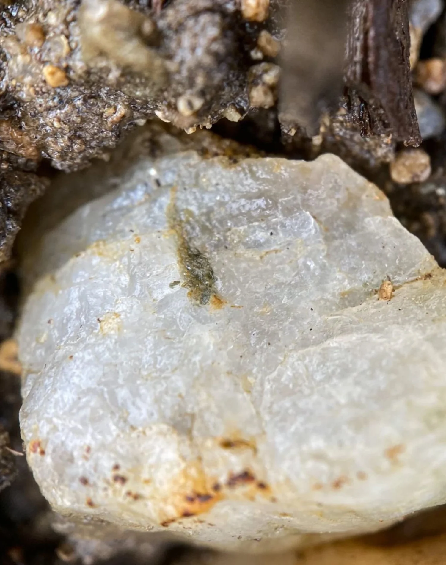 Minerality in Wine: Fact and Theory | LITTLEWINE | The knowledge platform