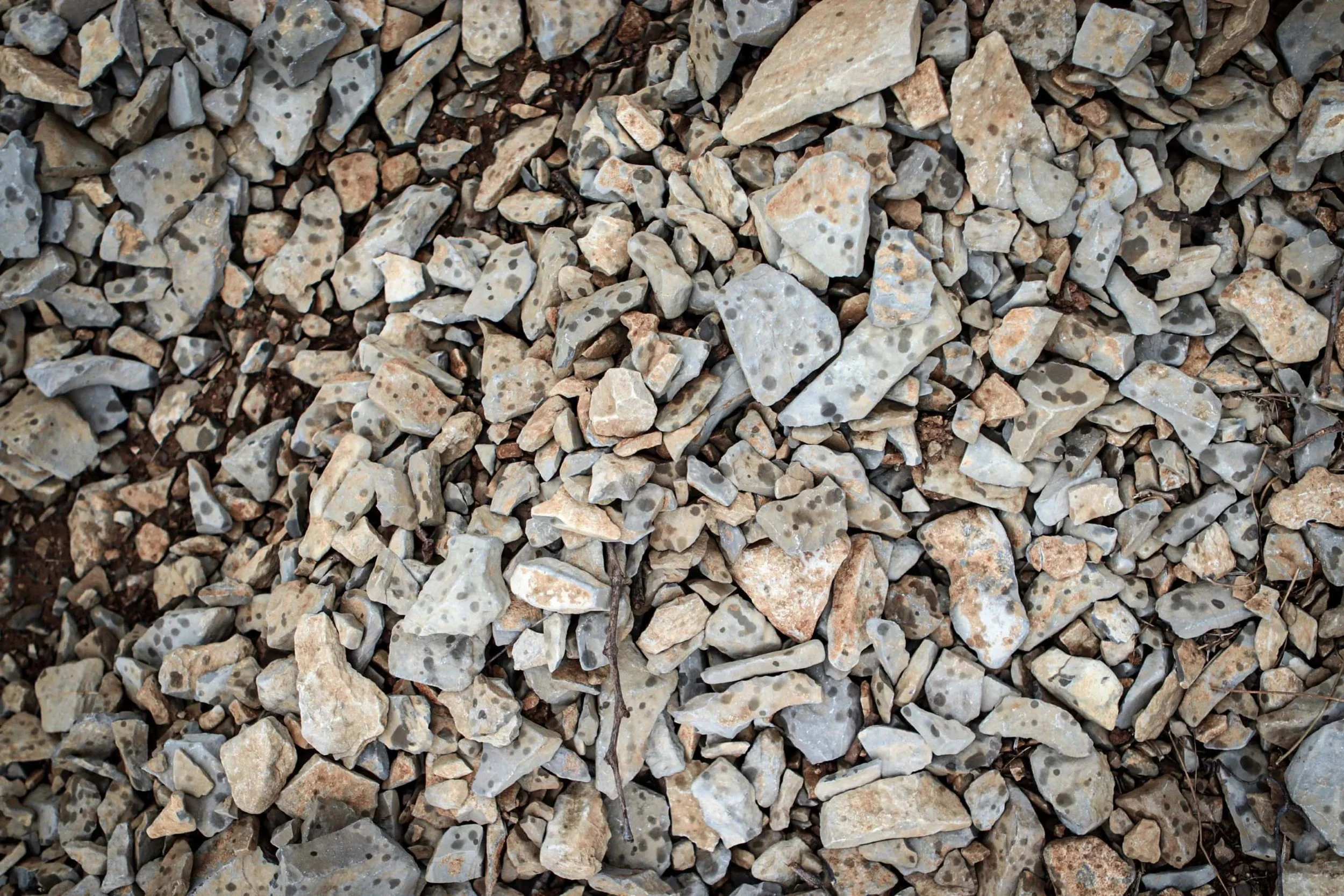 Domaine Inebriati | LITTLEWINE | The knowledge platform