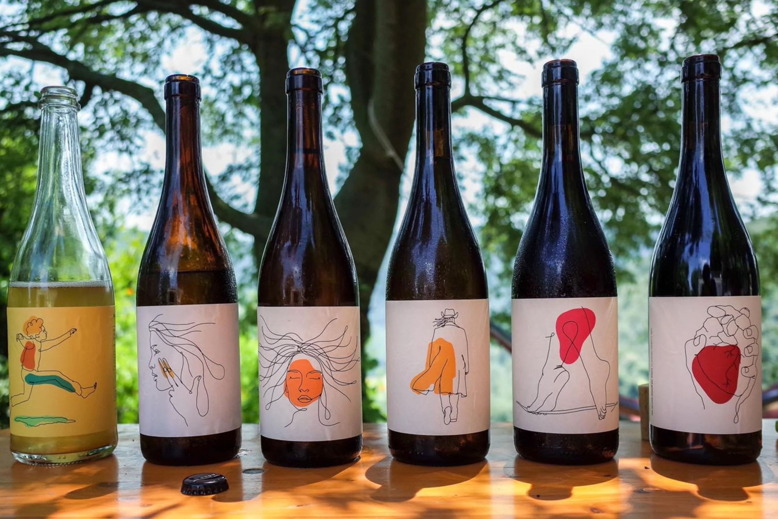 Indomiti Vini | LITTLEWINE | The knowledge platform