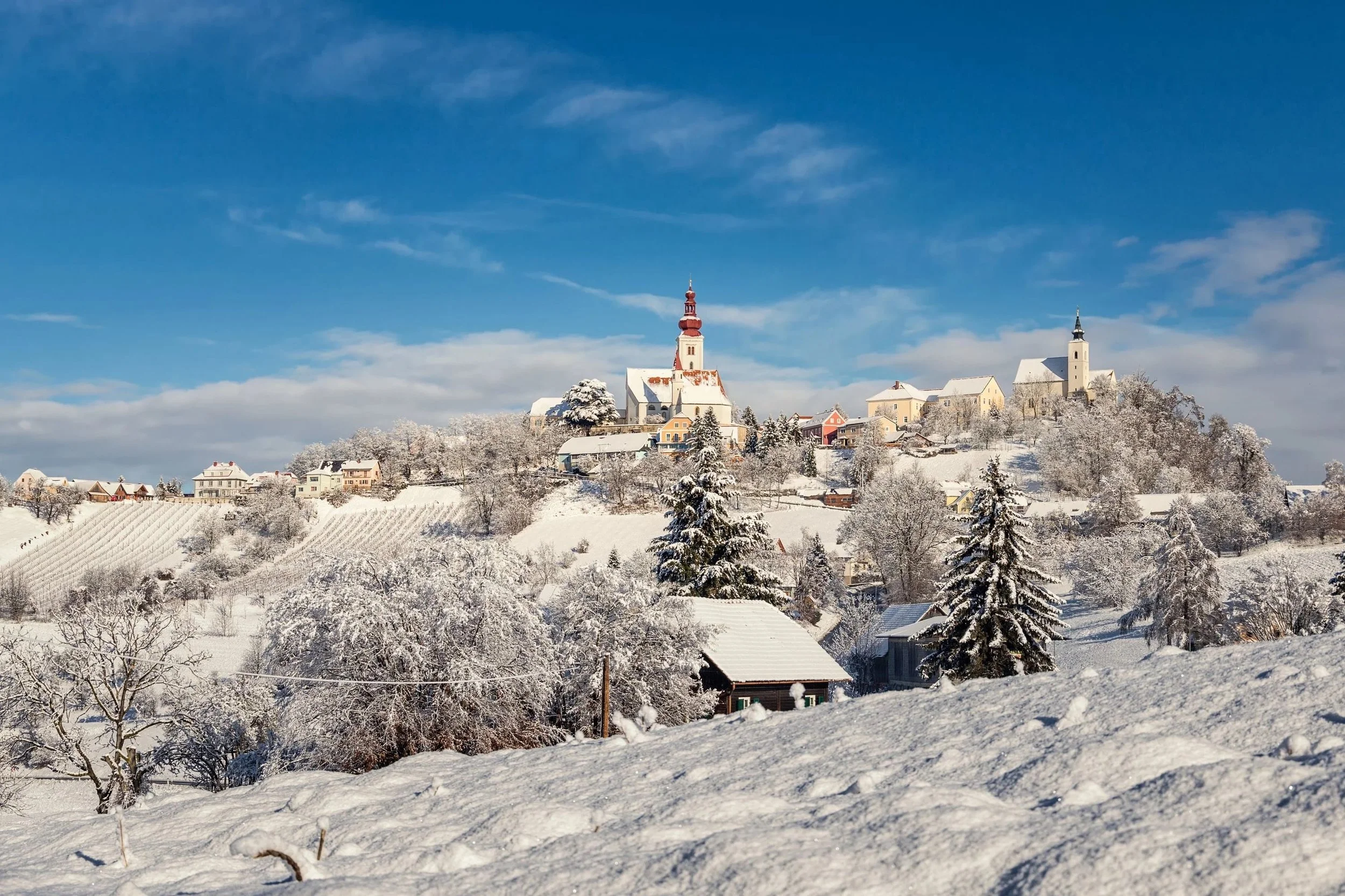 Weingut Neumeister | LITTLEWINE | The knowledge platform