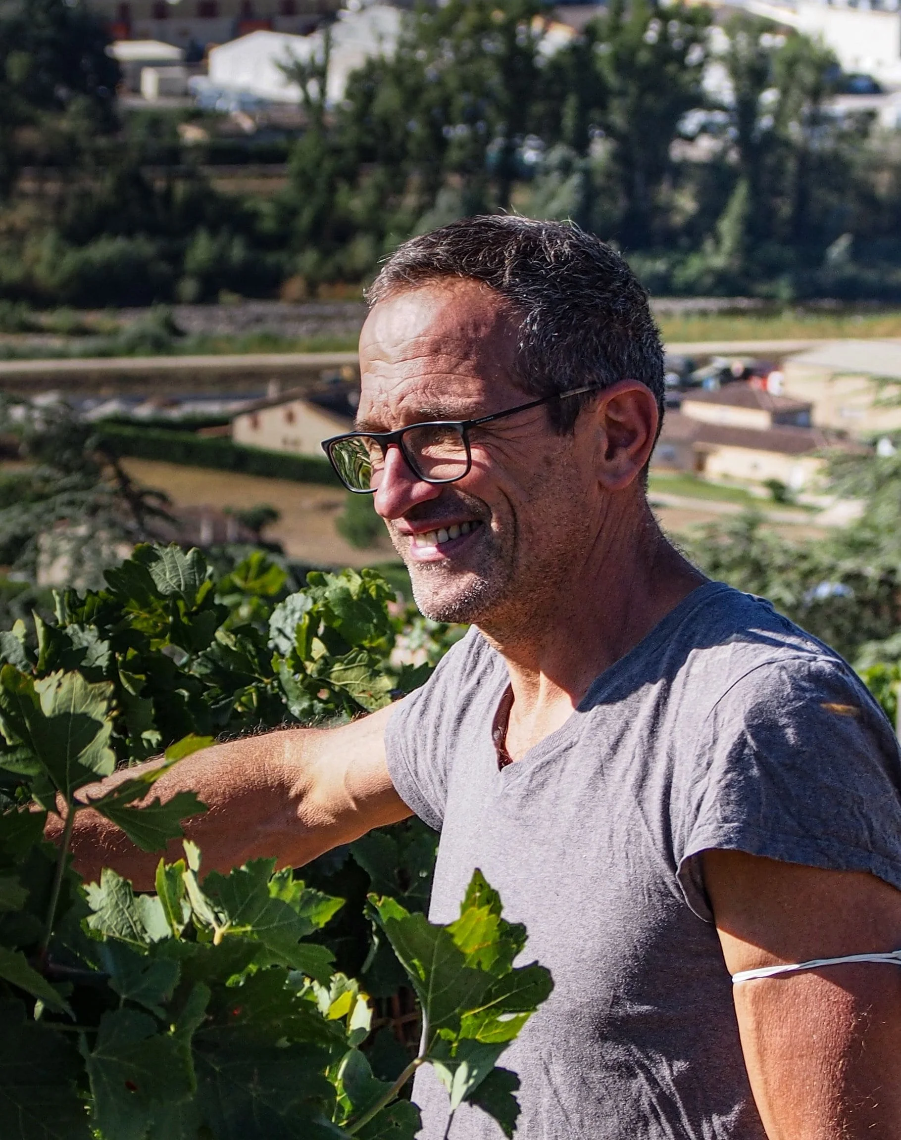 Domaine Pierre Gonon | LITTLEWINE | The knowledge platform