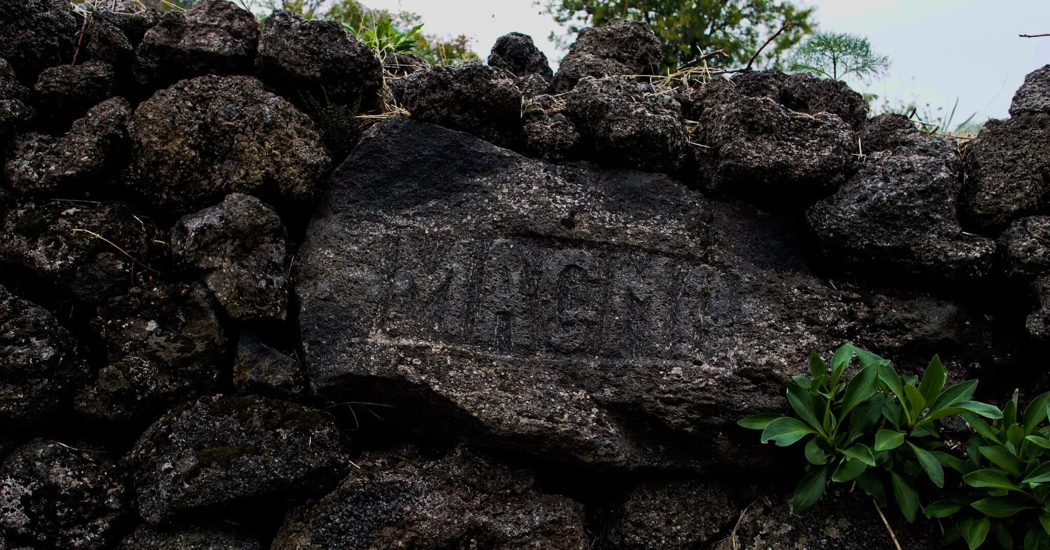 Frank Cornelissen | LITTLEWINE | The knowledge platform