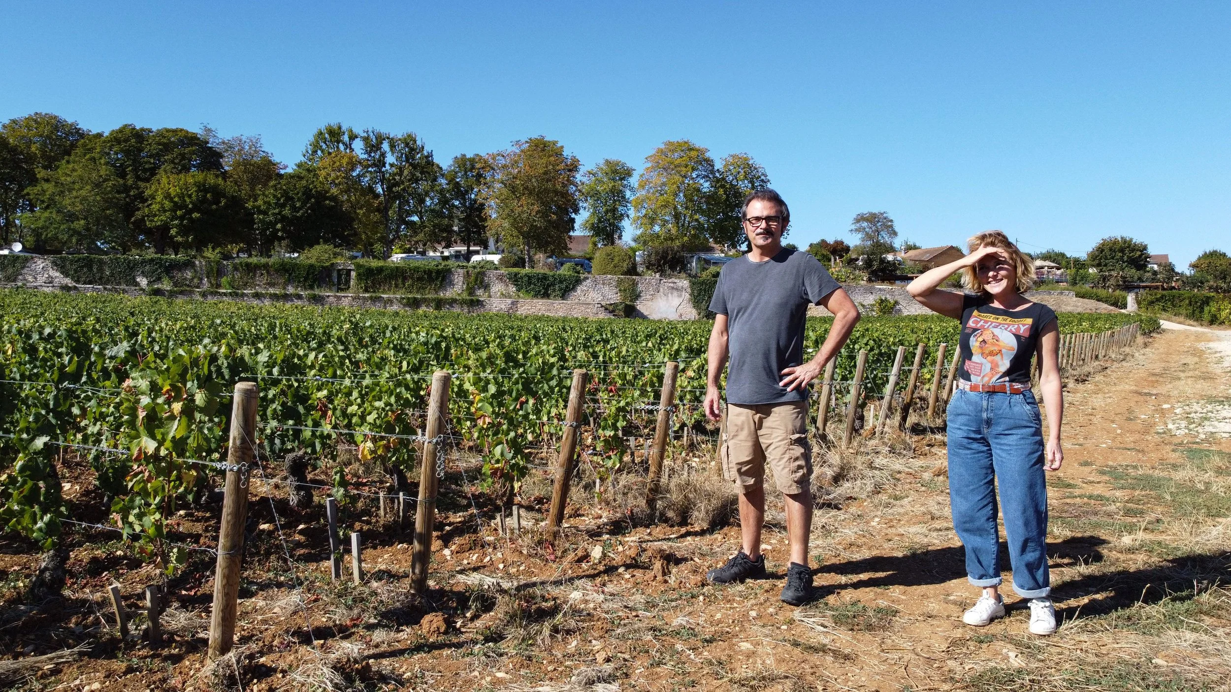 Domaine Bernard-Bonin | LITTLEWINE | The knowledge platform