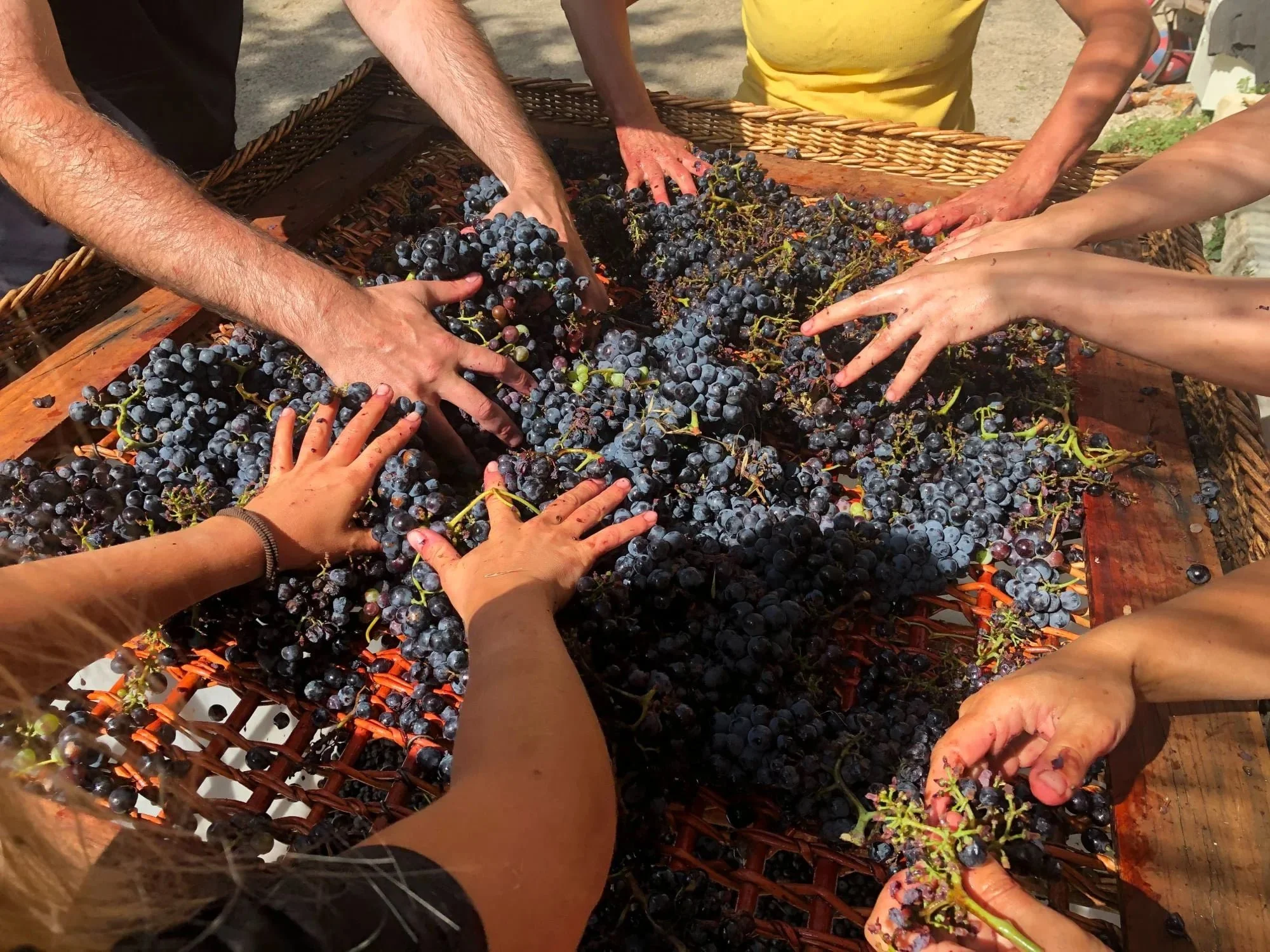 Anders Frederik Steen and Anne Bruun Blauert | LITTLEWINE | The ...