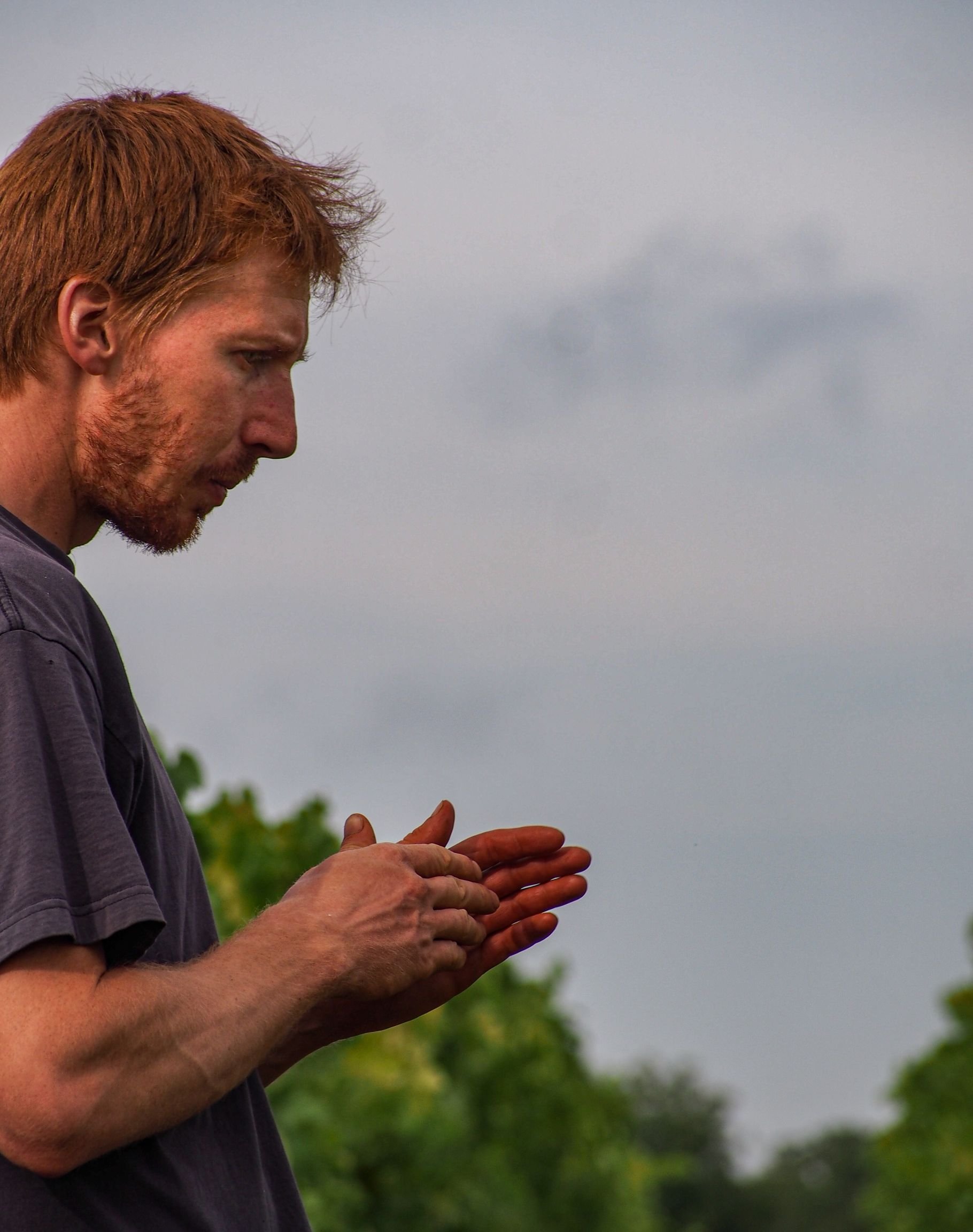 Pierre Ménard | LITTLEWINE | The knowledge platform