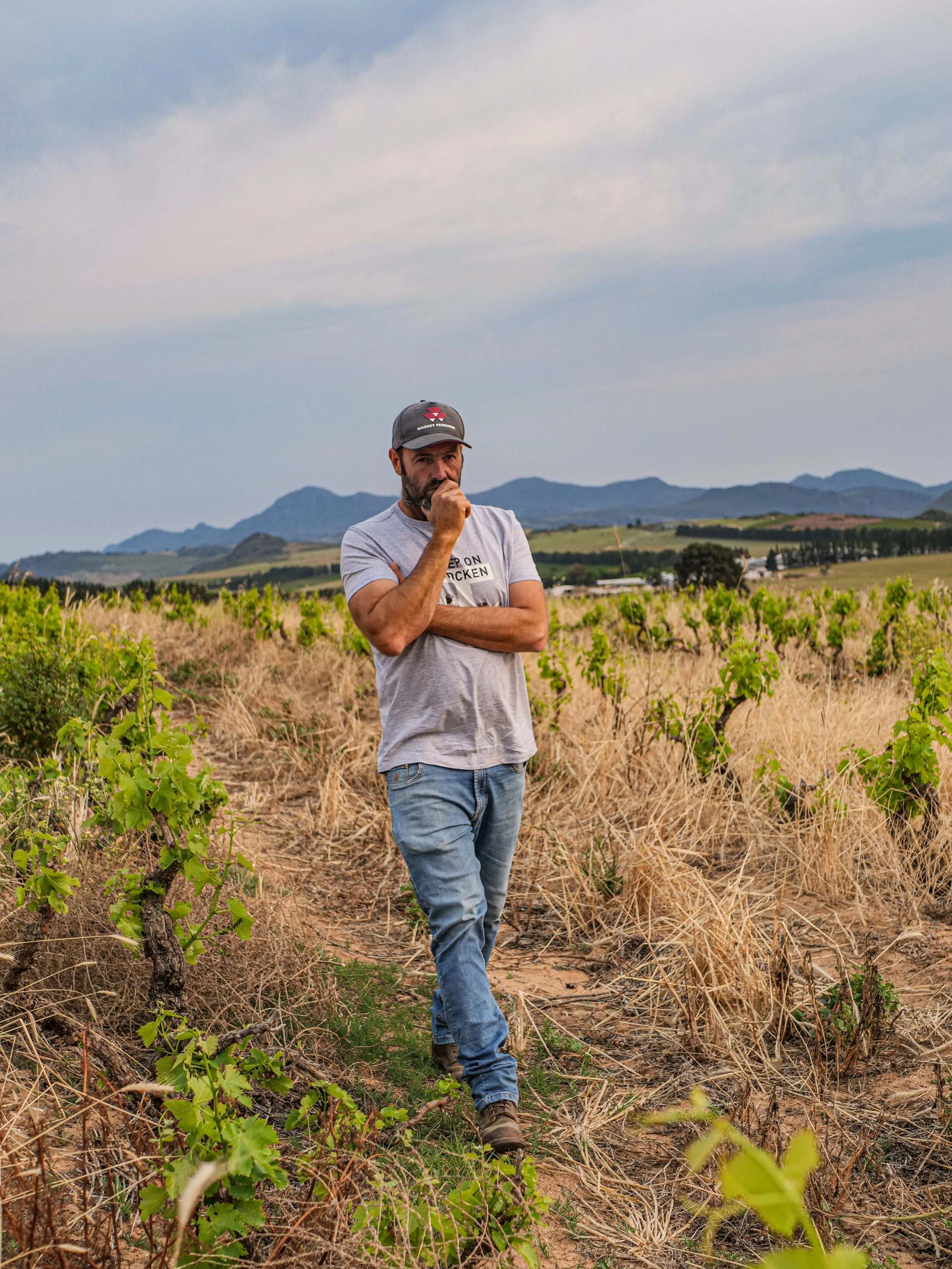 The Sadie Family Wines: Eben Sadie's all-or-nothing commitment to soil ...