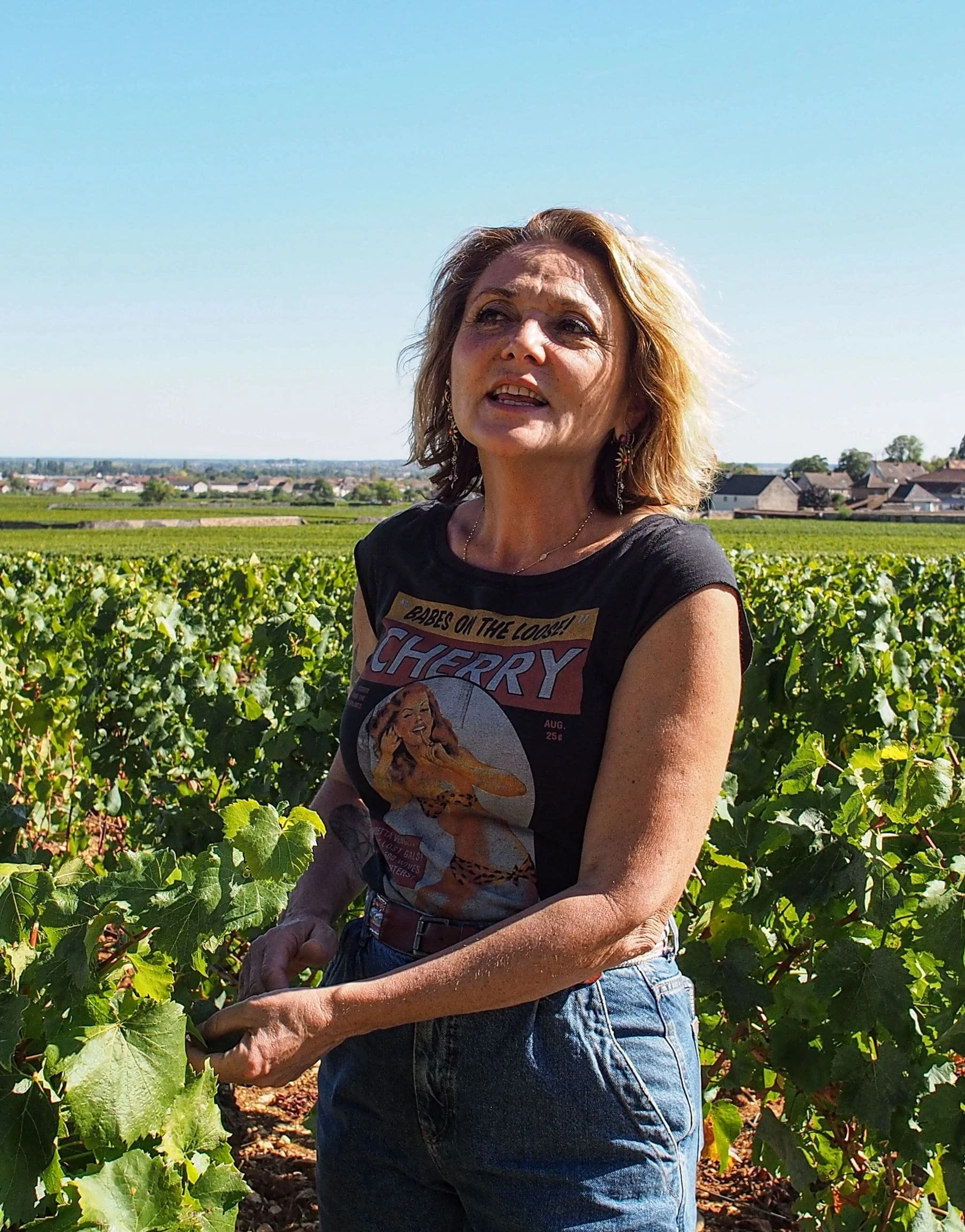 Domaine Bernard-Bonin | LITTLEWINE | The winemaker-led platform