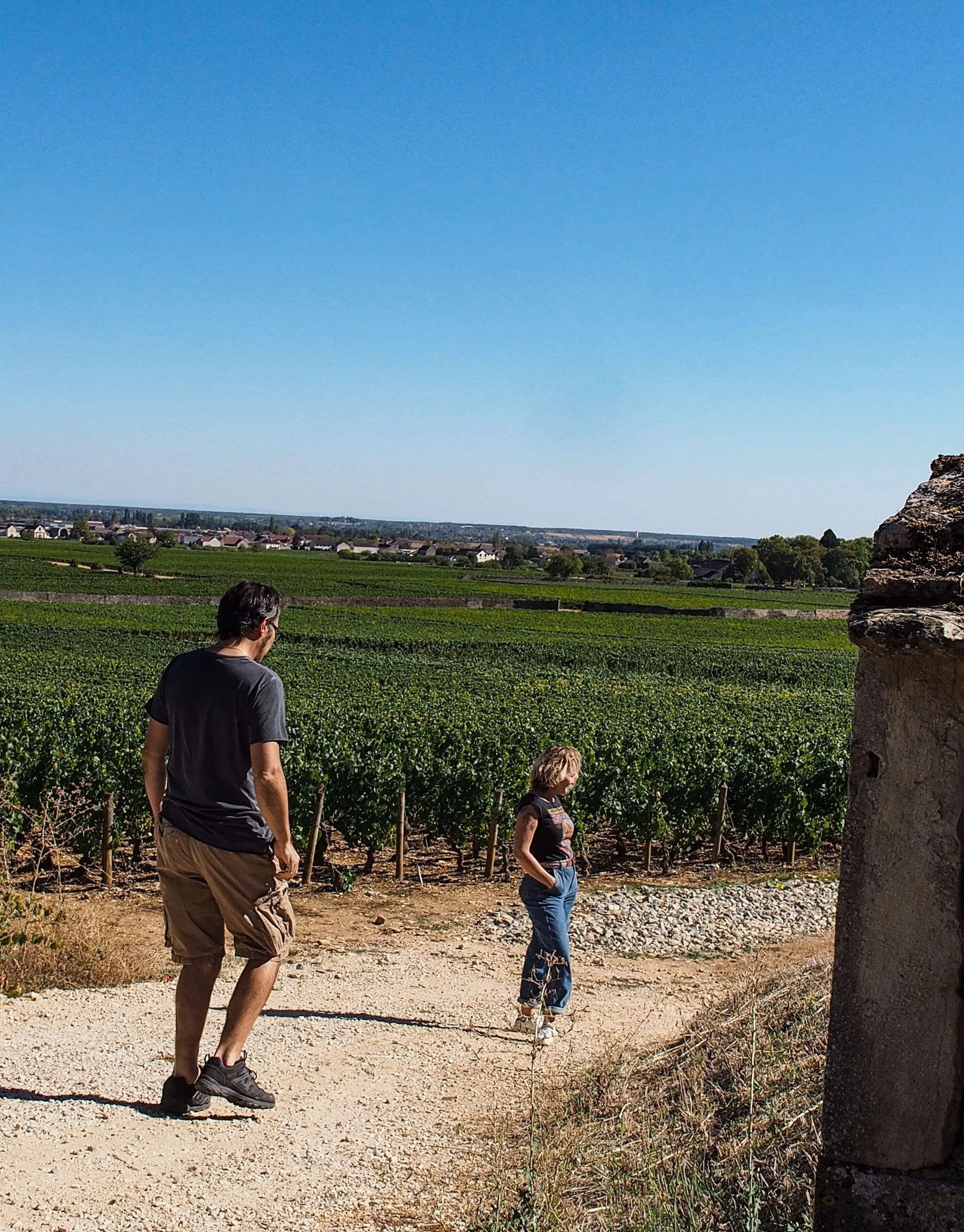 Domaine Bernard-Bonin | LITTLEWINE | The knowledge platform
