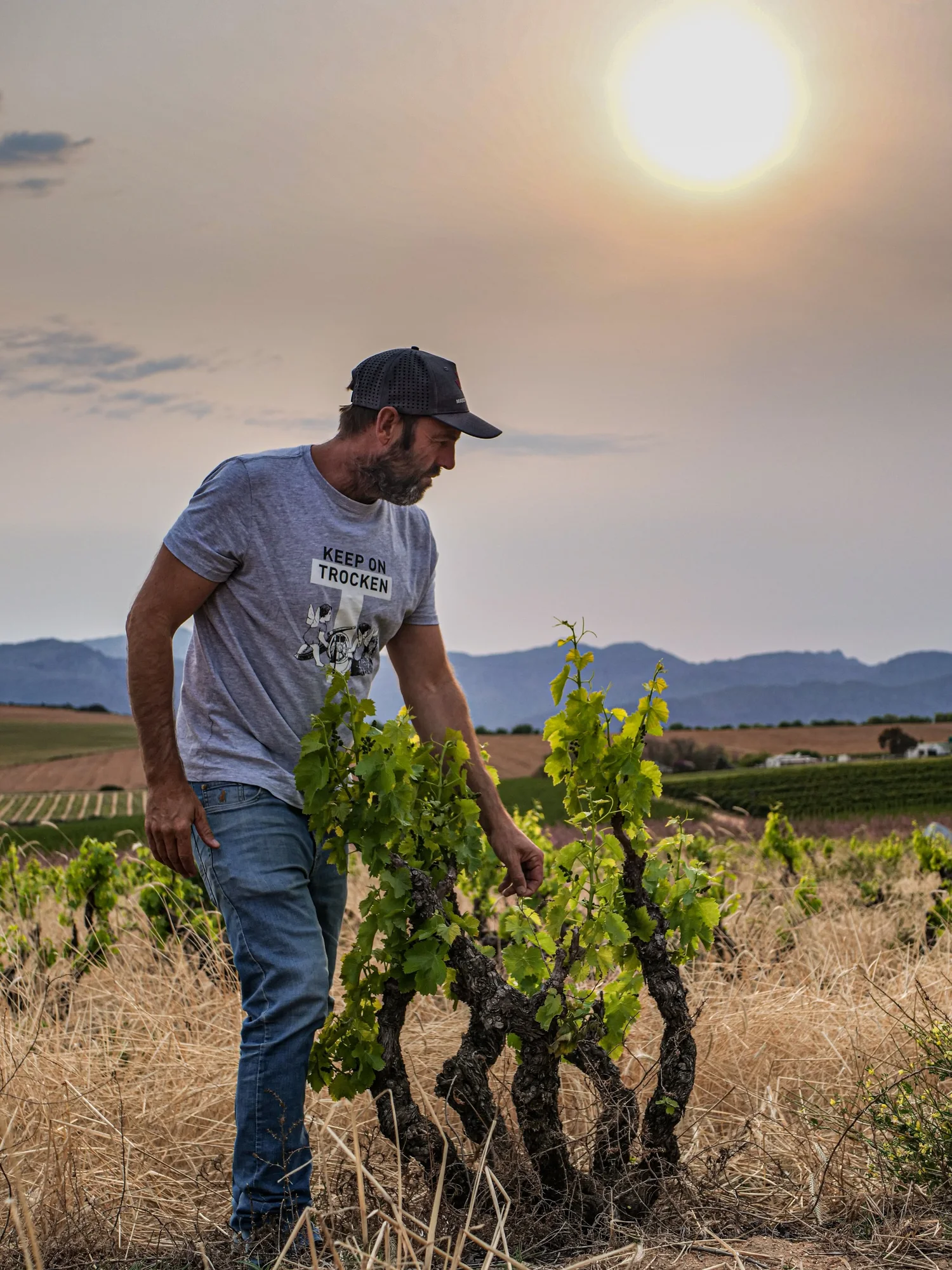 The Sadie Family Wines: Eben Sadie's all-or-nothing commitment to soil ...