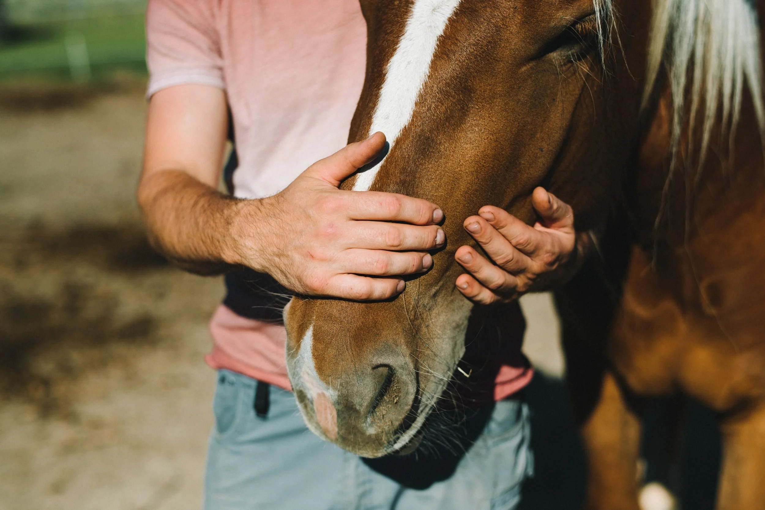 Michael Gindl | LITTLEWINE | The knowledge platform