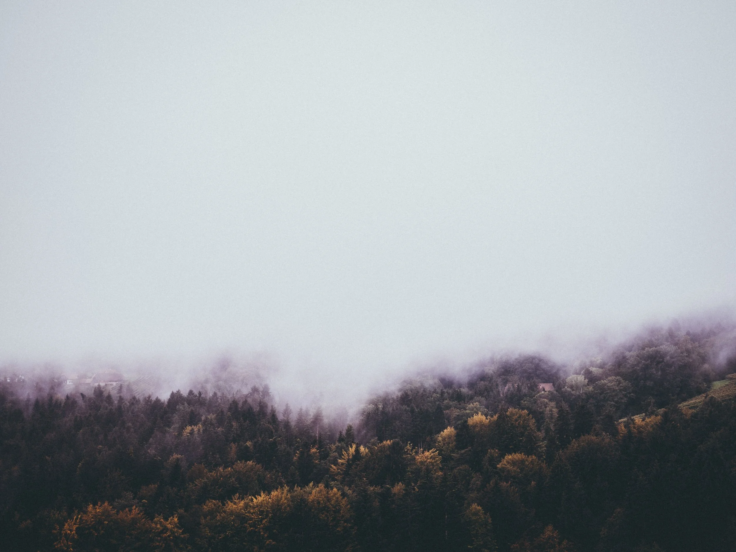 The Styria Wine Region | LITTLEWINE | The knowledge platform